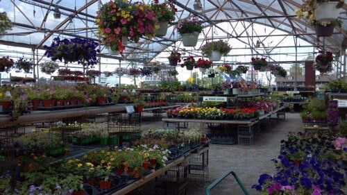 Landscape | Highland IN | Allen Landscape in Highland, LLC