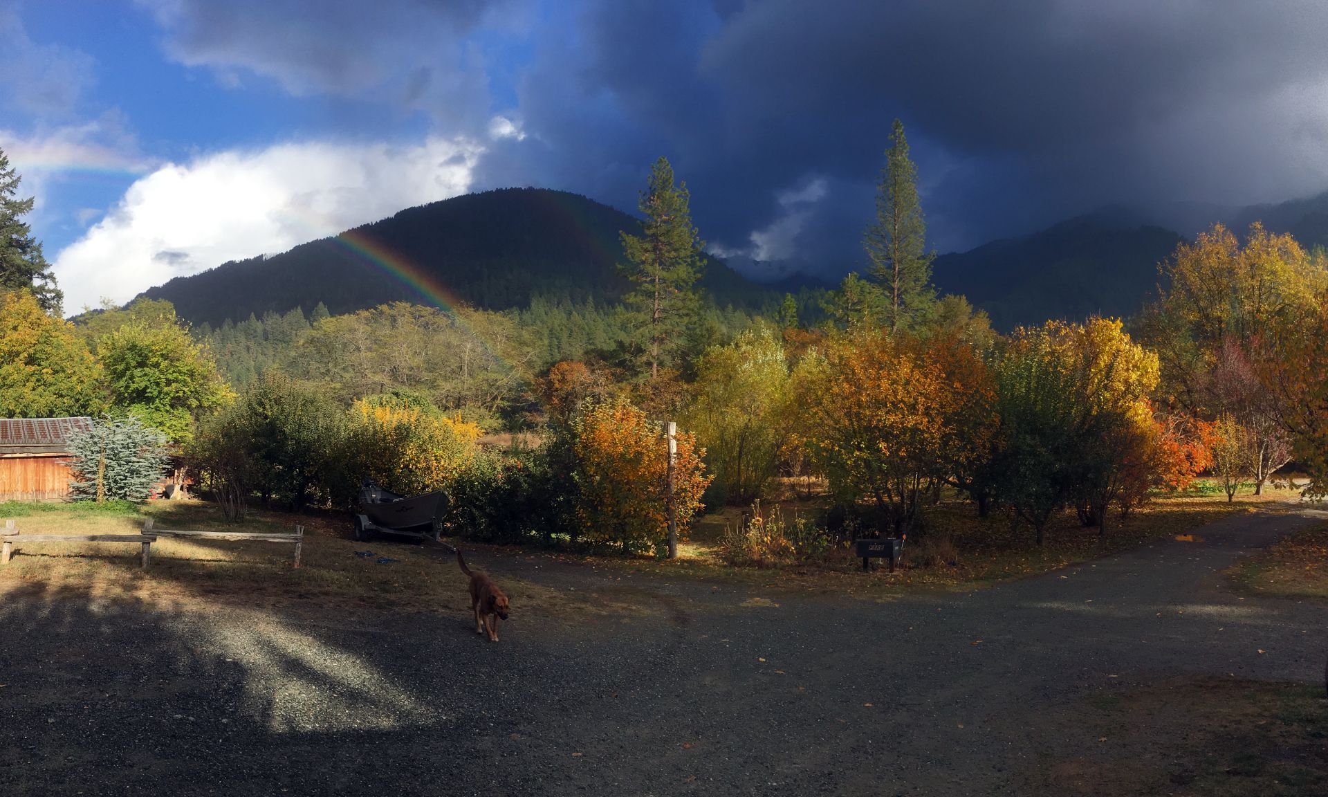 Photo and Video Gallery | Sandy Bar Ranch