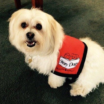 Julia Slade's Instagram, Twitter & Facebook on IDCrawl