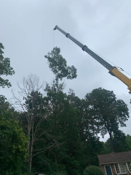 Tree Removal Hattiesburg MS | R/S Tree Service