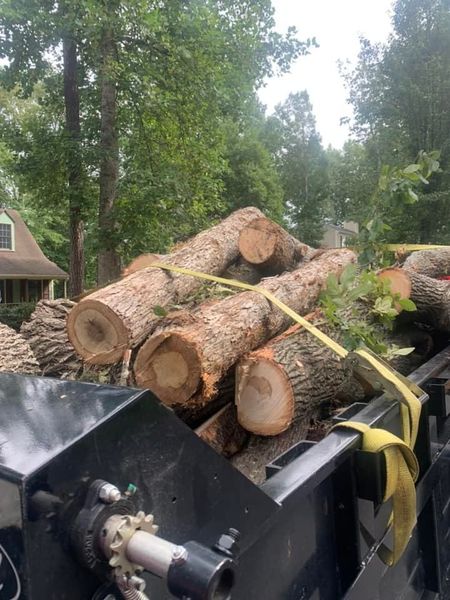 Tree Removal Hattiesburg MS | R/S Tree Service