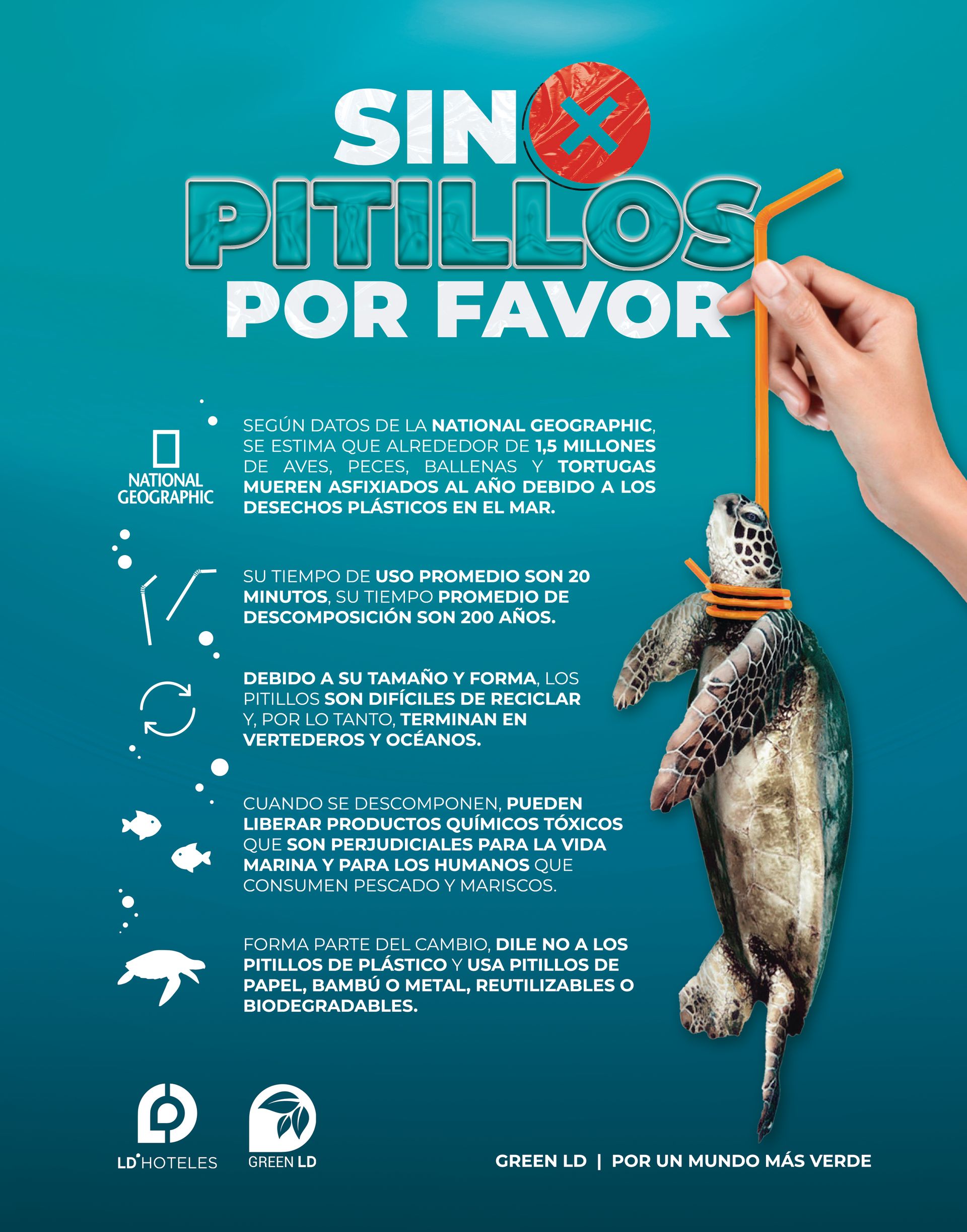Sin Pitillos Por Favor” Un Compromiso Con Un Mundo Más Verde