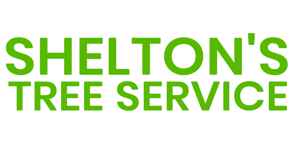 Home | Shelton's Tree Service | Rome, GA