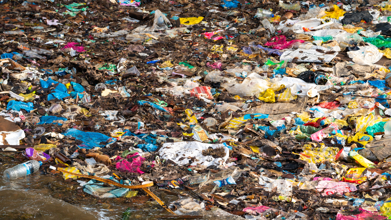 The Negative Effects Of Plastic On The Environment