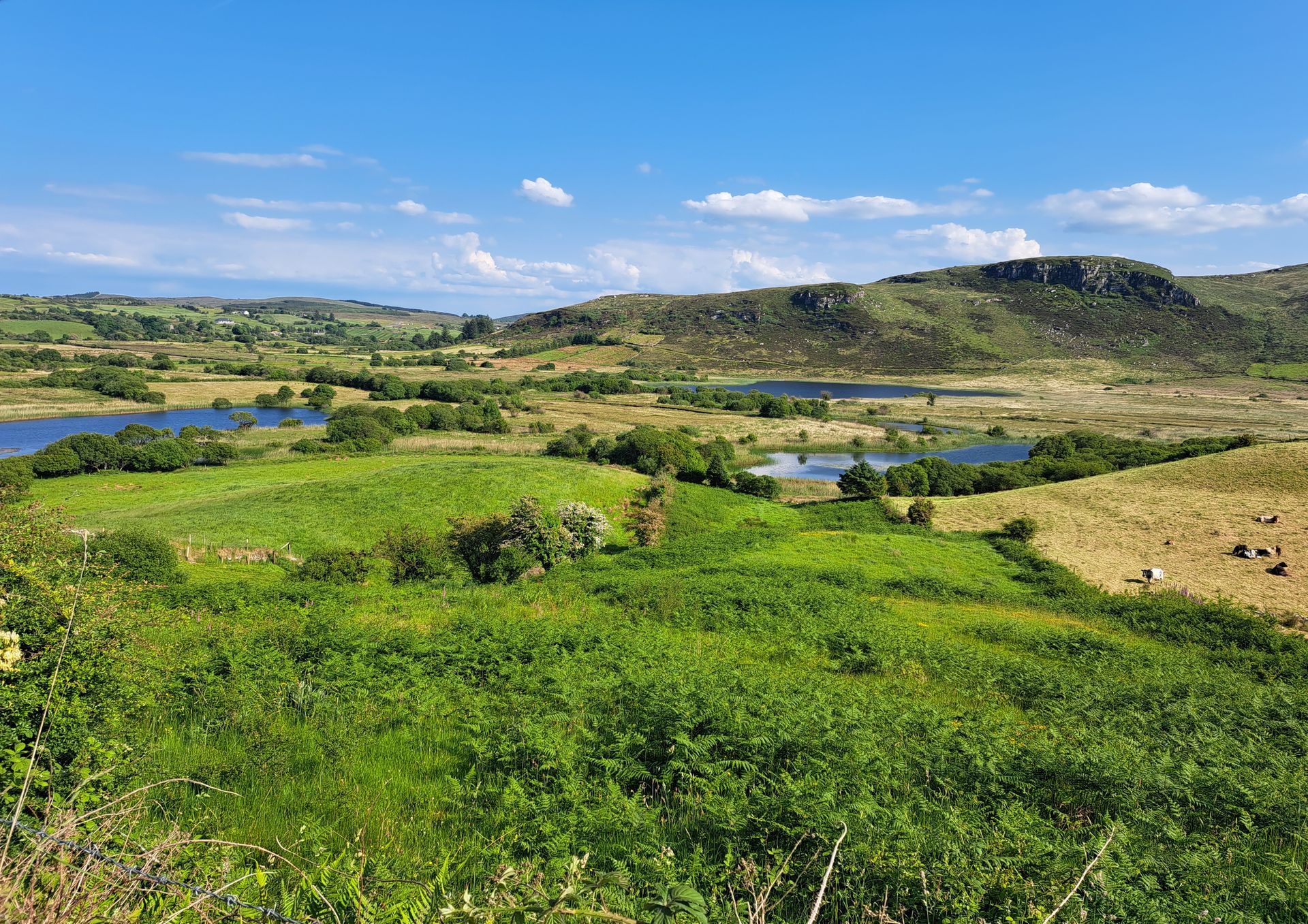 Things to do in Ballina, Mayo & the Wild Atlantic Way