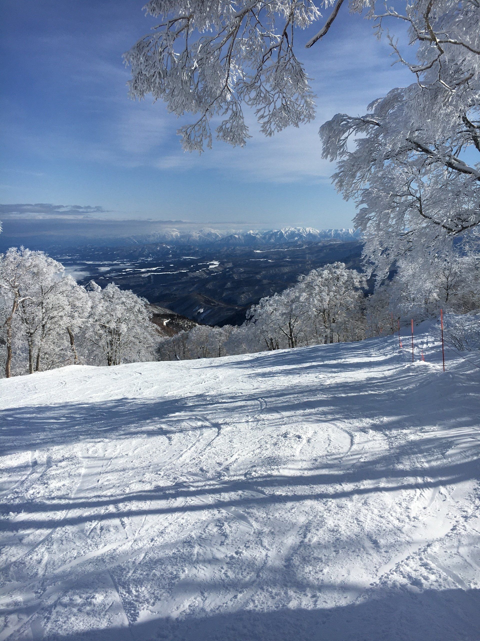 Japan Powder Package