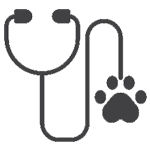 Medical Pet Care Services - Ashland, VA - Ashcake Animal Clinic