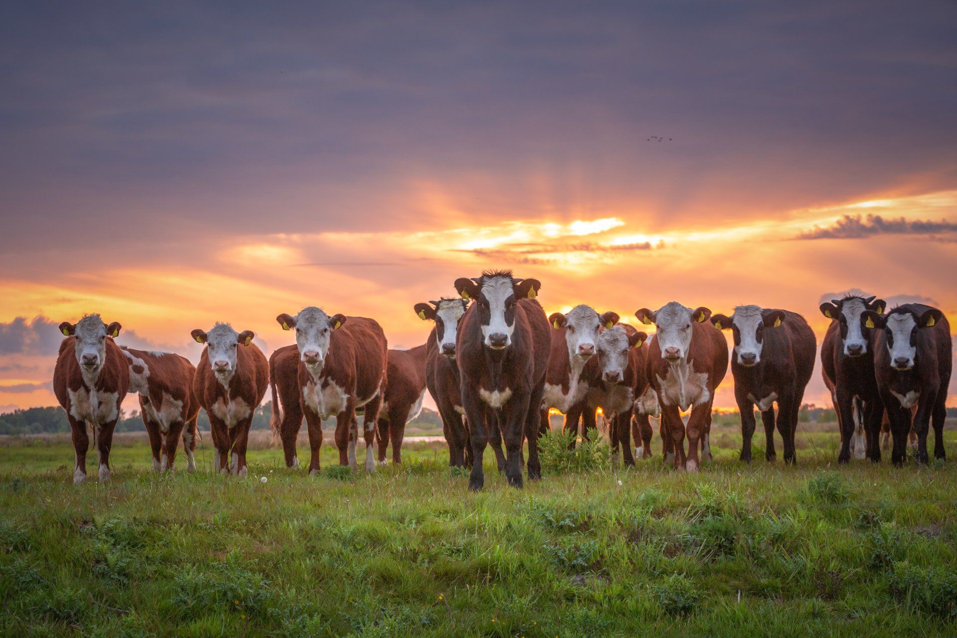 Natuurfotografie