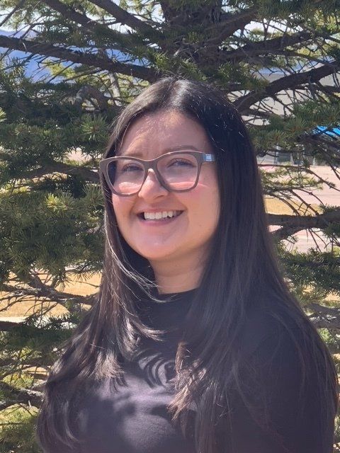 Chiropractor - Colorado Springs, CO - Complete Chiropractic