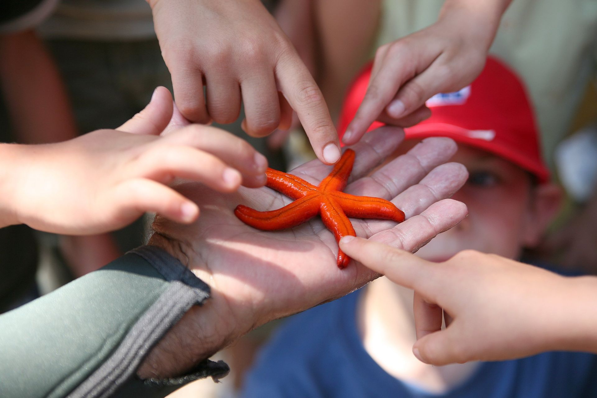 QCF Level 4 Certificate in Education & Training