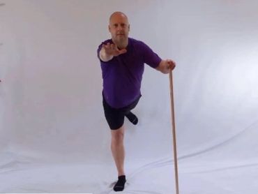 Thera Bo Dynamic Stability Staff. Therapy Exercises.