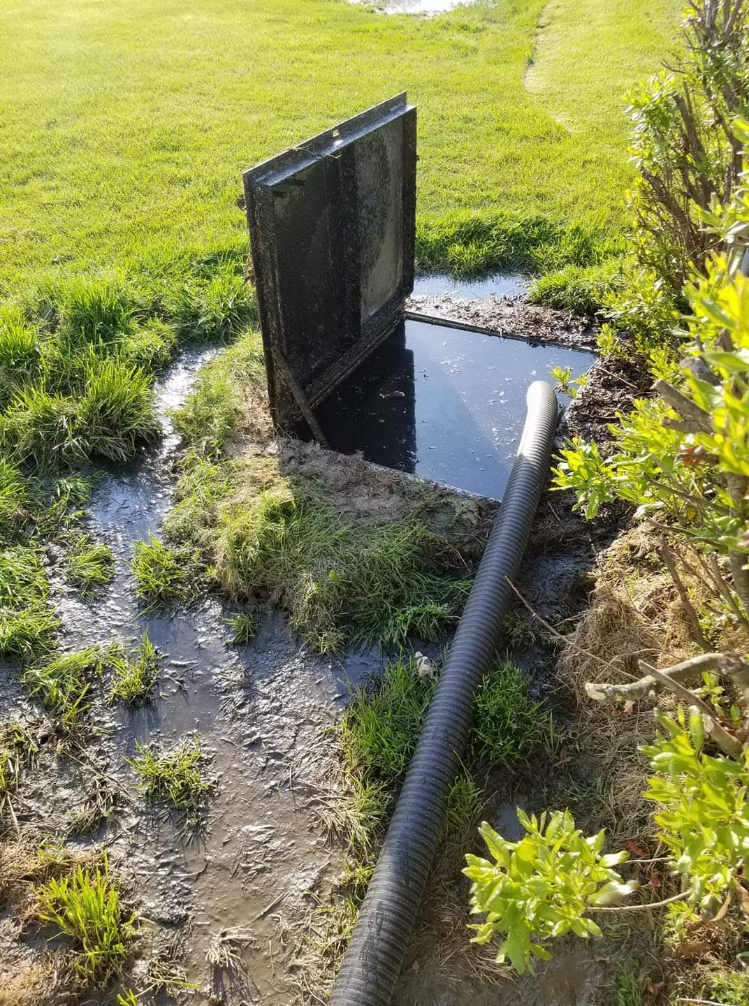 3 Ways to Save Money on Your Next Septic Service