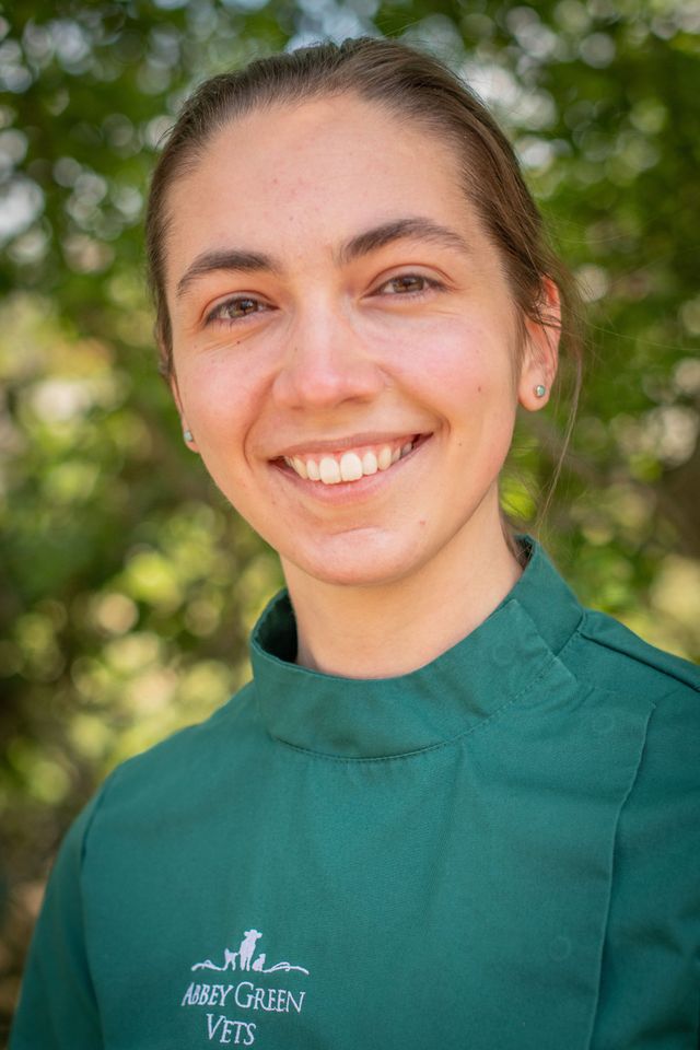 Meghan Hancock's Instagram, Twitter & Facebook on IDCrawl