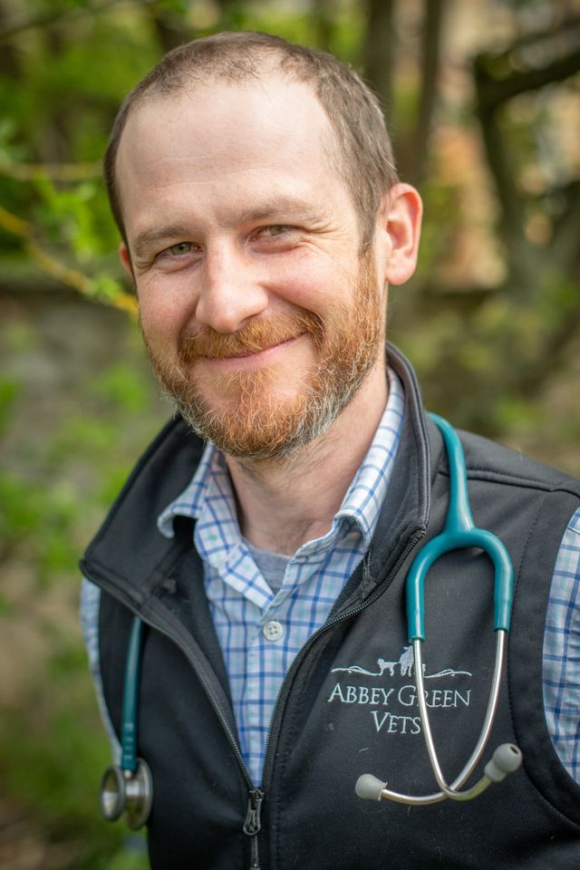 Meghan Hancock's Instagram, Twitter & Facebook on IDCrawl