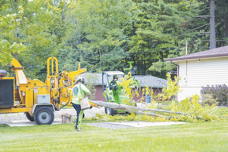 TITAN ARBOR CARE CAN KEEP YOUR TREES THRIVING