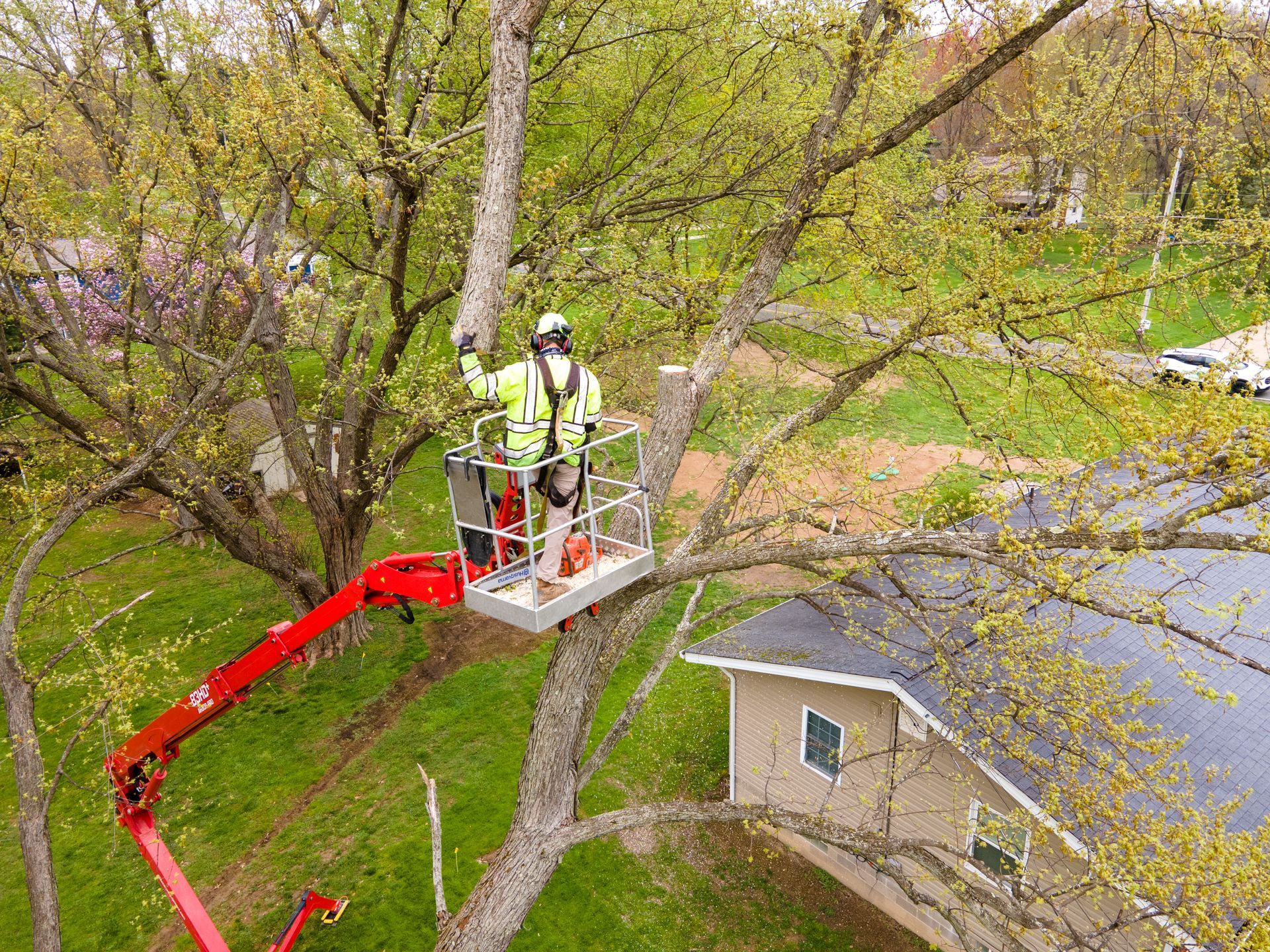 Tree Services | Titan Arbor Care | Arborist | Northeast Ohio