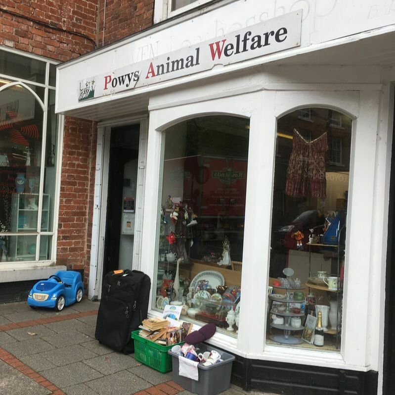 Powys Animal Welfare - Caring for animals in the UK