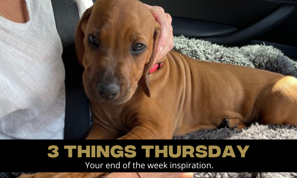3 THINGS THURSDAY - 25th Mar 2021