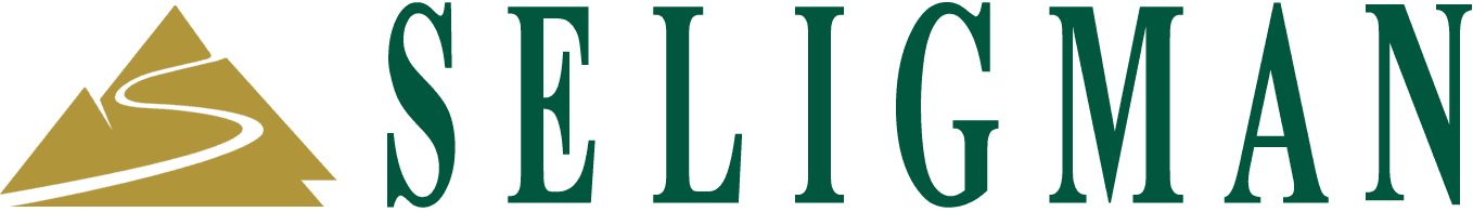 Peter Seligman | Estate and Insurance Planning