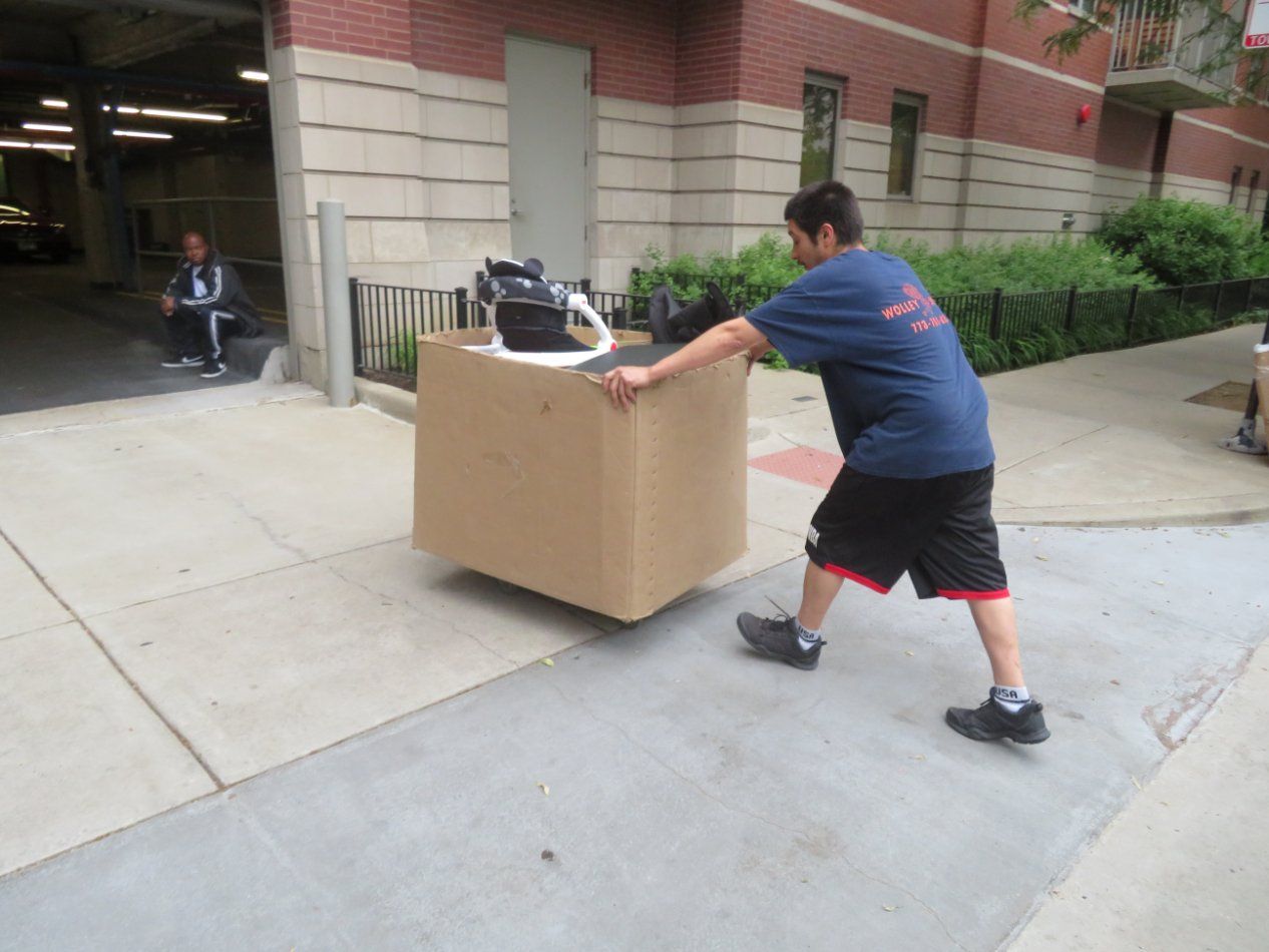 Local Movers Chicago | Moving Companies Chicago | Wolley Movers