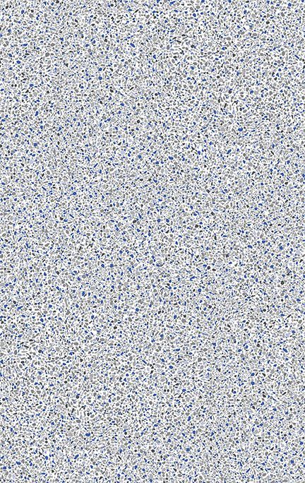 Merlin Liners | Pool Liner Replacements Ridgefield & Norwalk, CT