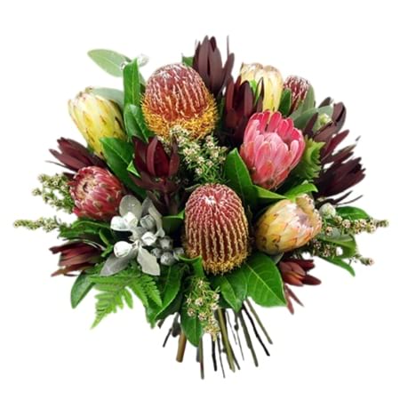 Funeral Notices - North Rockhampton, QLD - Harts Family Funerals