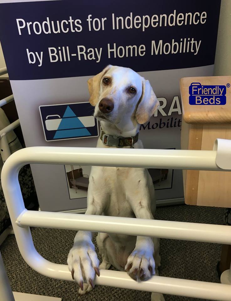 Pivoting Assist Rails?