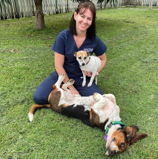 Our Practice | Western Suburbs Vet Clinic