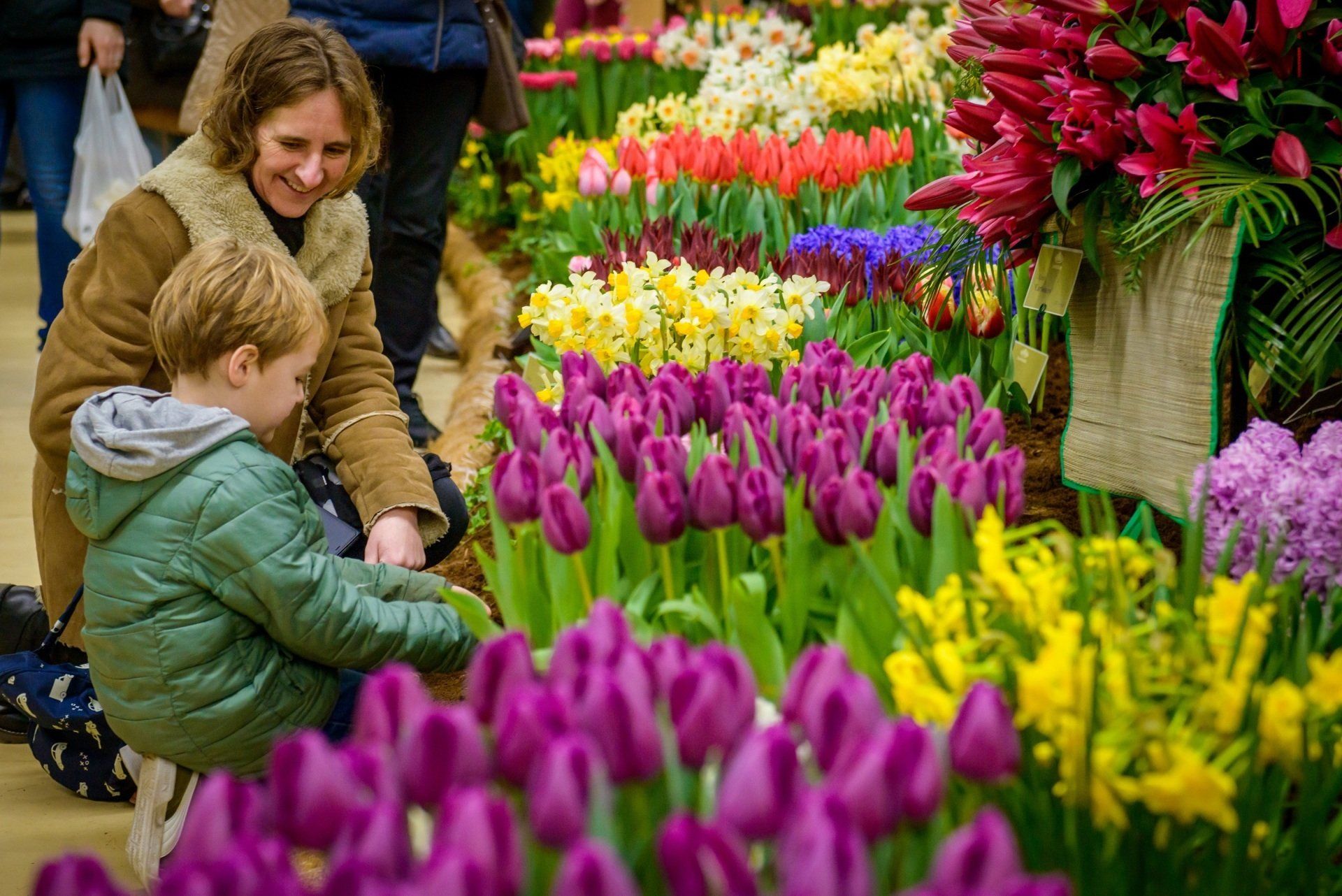 Lentetuin Breezand komt terug met vernieuwd concept