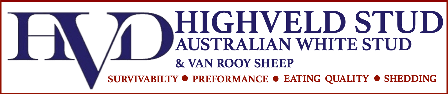 Highvelds International Australian White Sheep Stud - Mendooran, NSW - Home