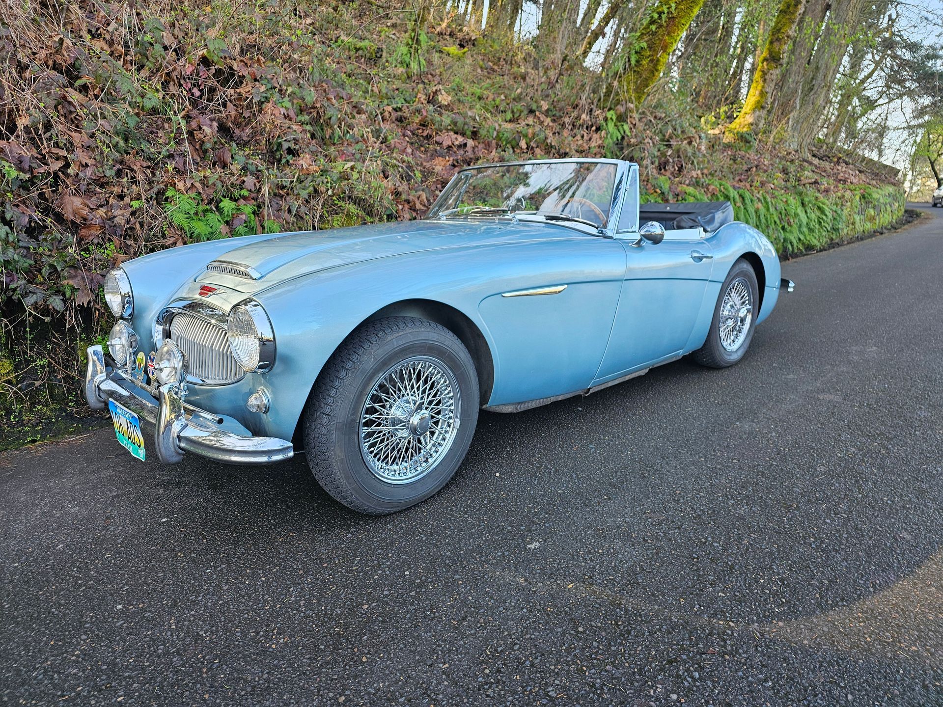 Reviews | Sports Car Shop