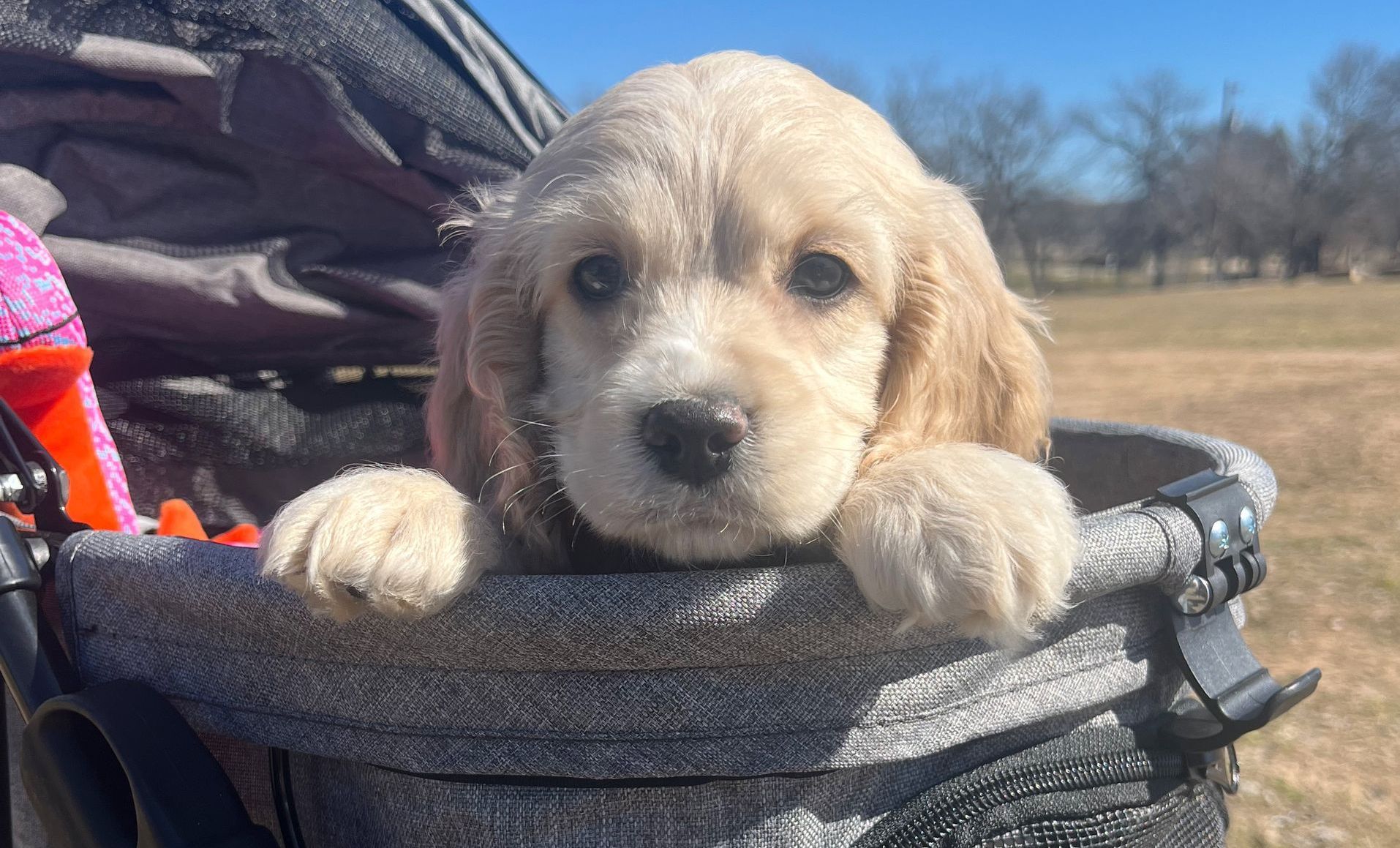 Our Social Doods Are Well-Known Em's Doods