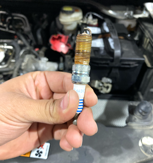 car electrical system going crazy