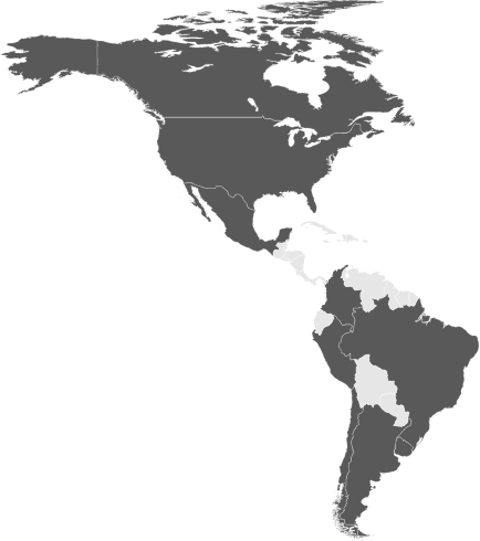 Gotobiz by Processor