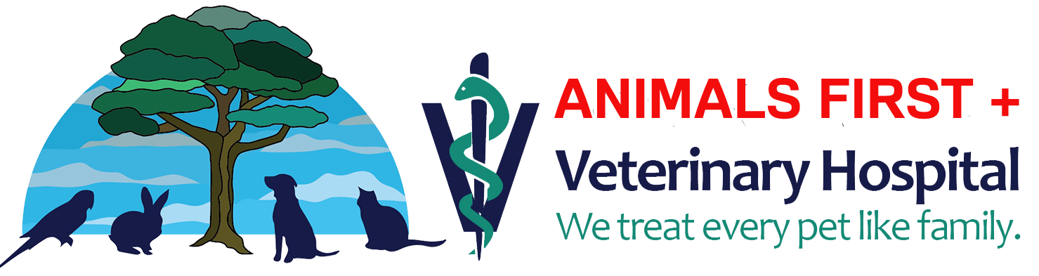Veterinarians | Animals First + Veterinary Hospital & Urgent Care