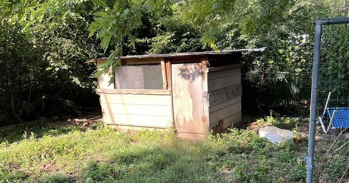 Shed Demolition in Kansas City | Expert Shed Removal | KC Junk Removal