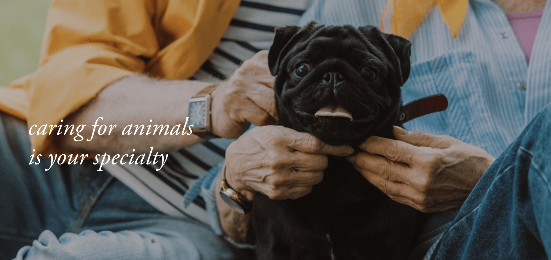 We've launched a new Veterinary Financial Advisors website