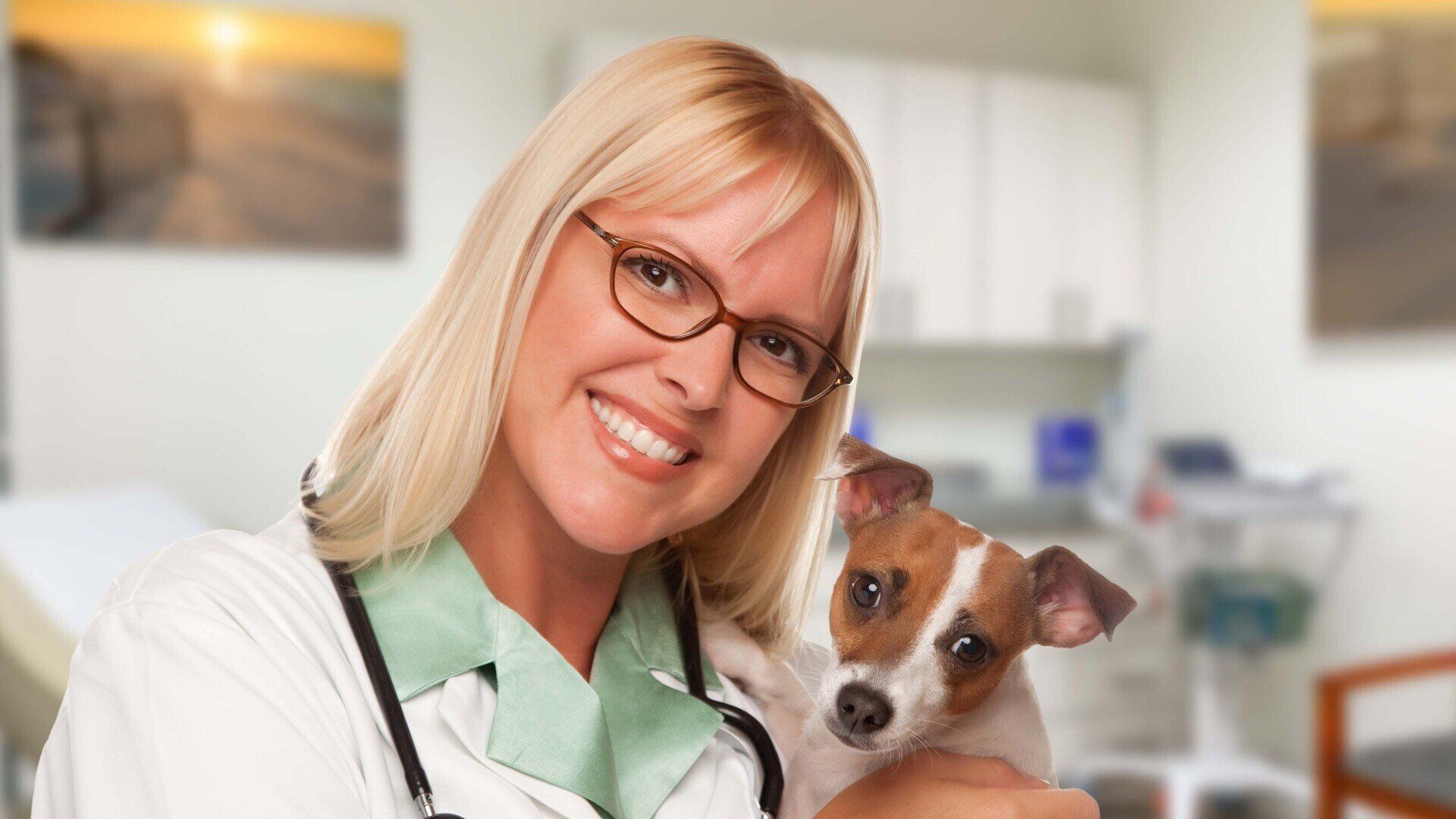 Join us for dinner & critical insight about the business side of your ...