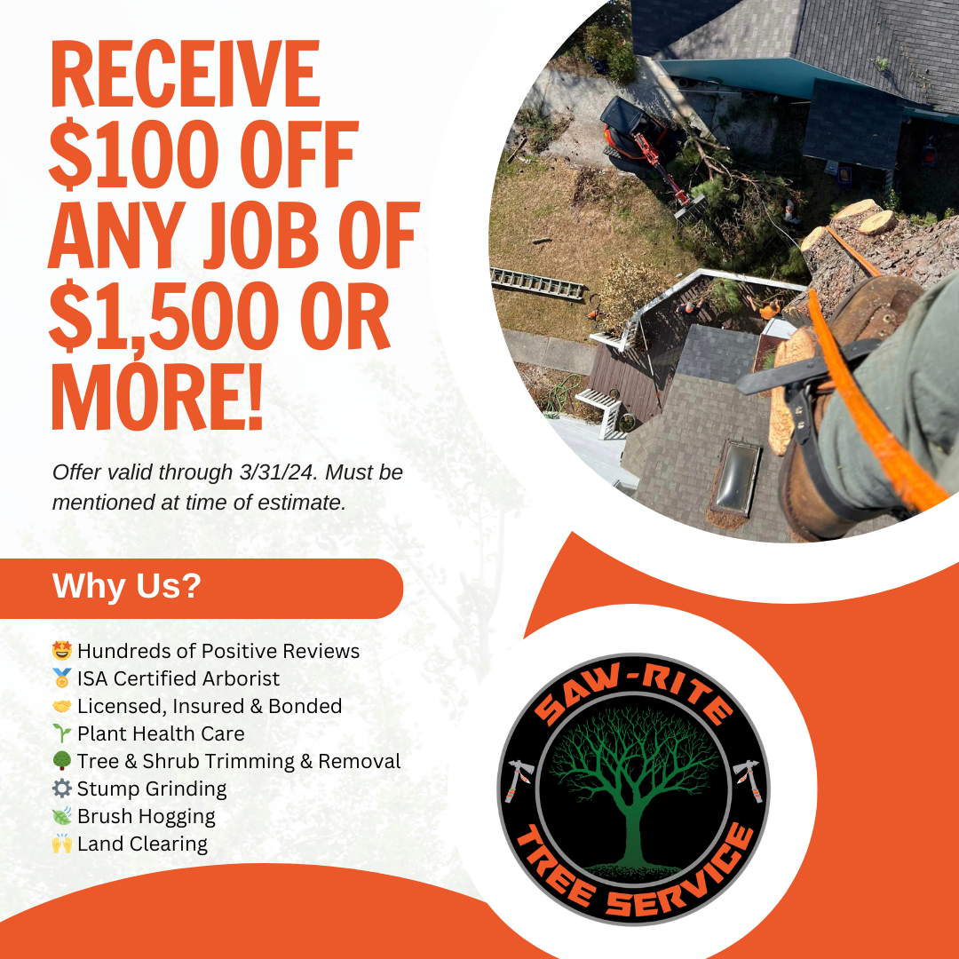 Saw-Rite Tree Service - Coupon - Murrells Inlet, Pawley's Island ...