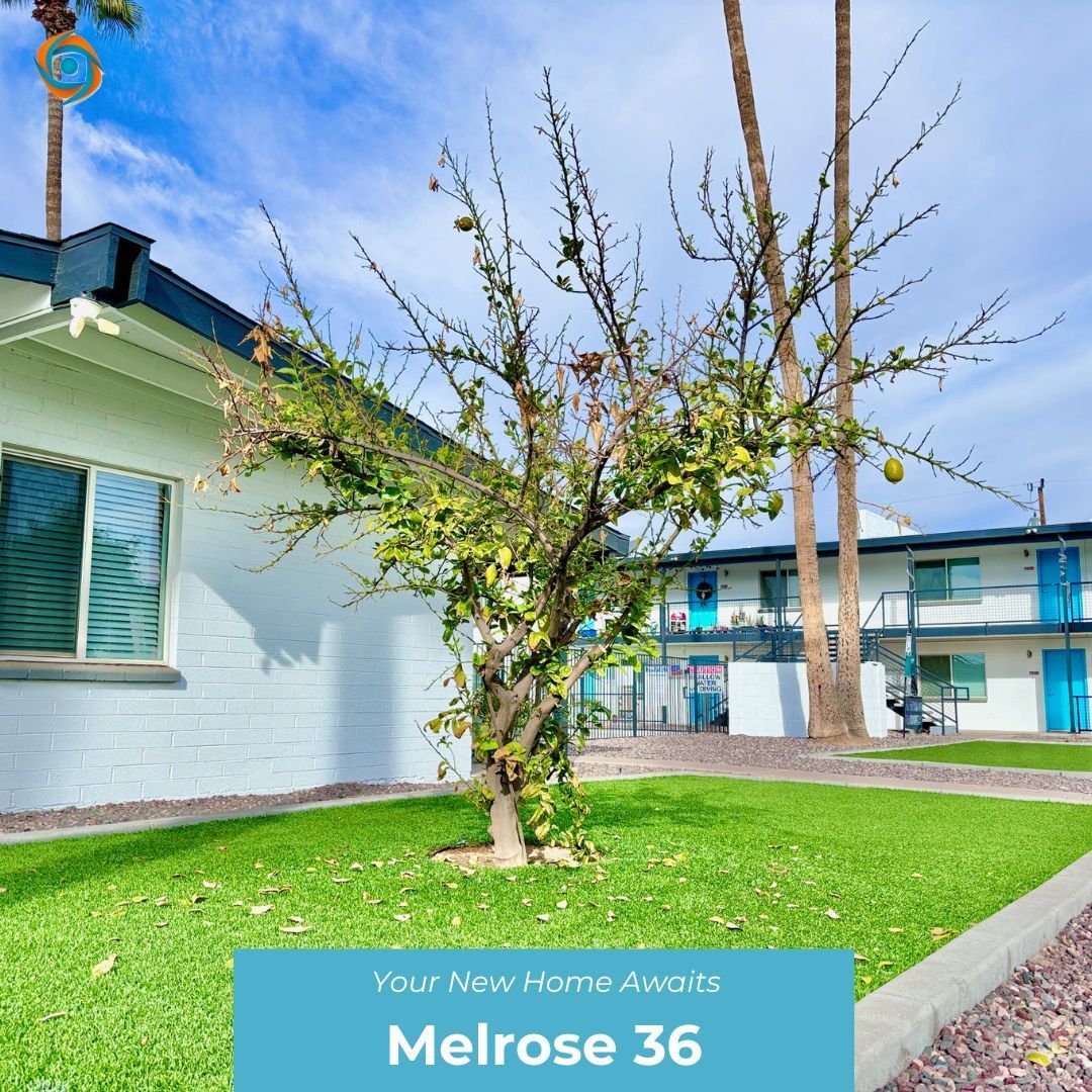 Experience The Modern Marvel Of Living At Melrose 36 Apartments