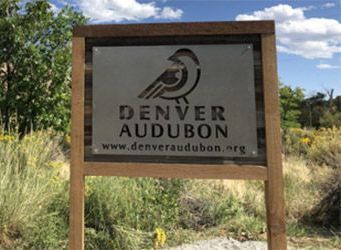 Bird Conservation | Denver Audubon | Denver, CO