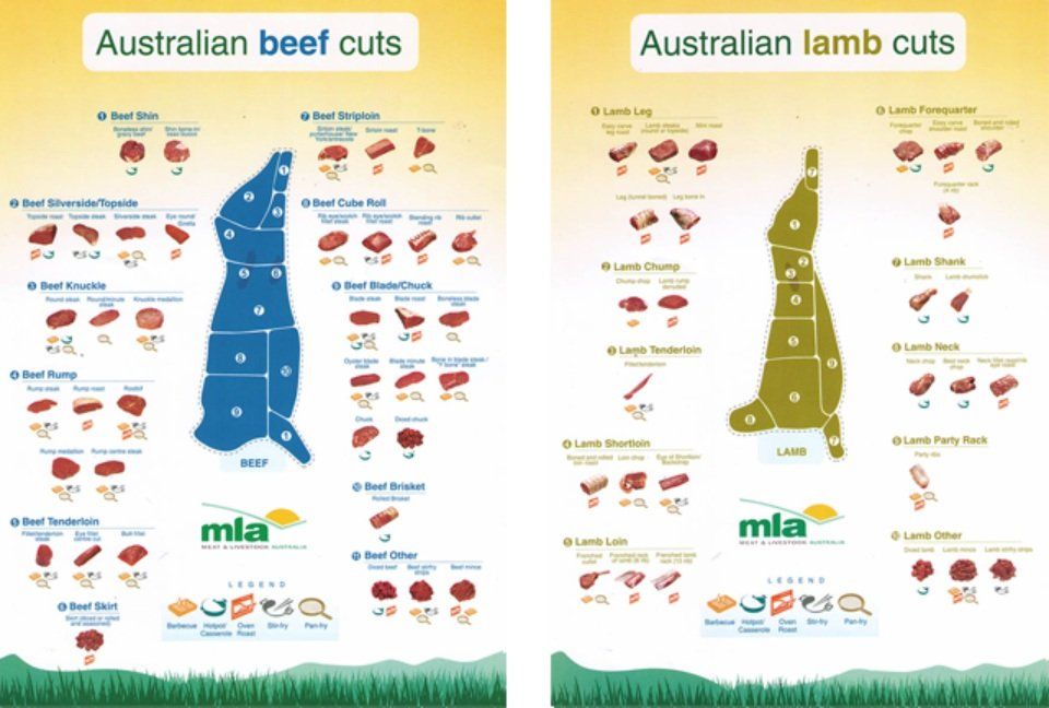 Meat Produce, Transportation, and Trading | Caroline Springs