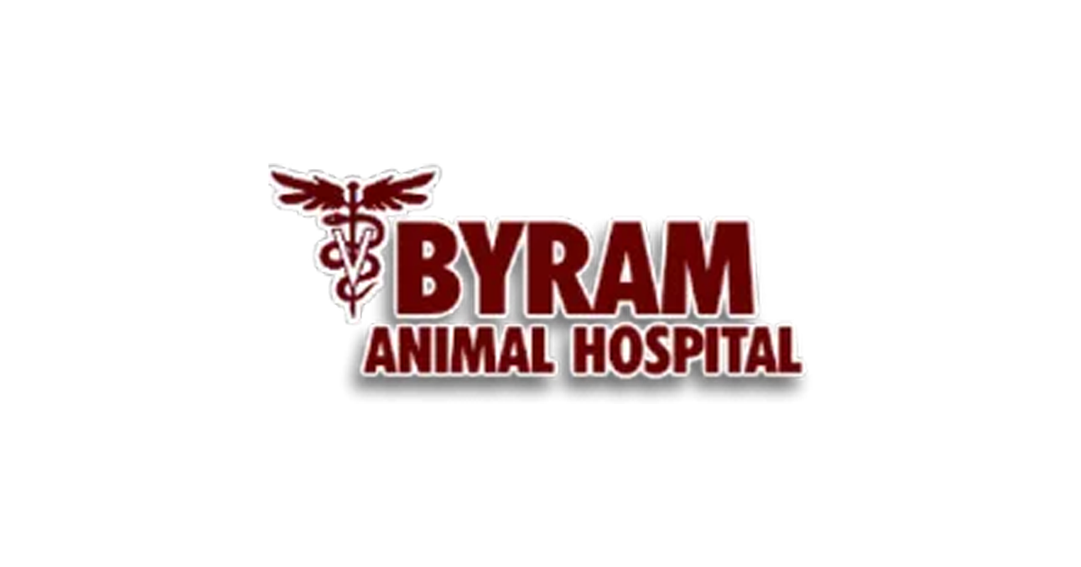 Contact Vet Hospital | Terry, MS | Byram Animal Hospital