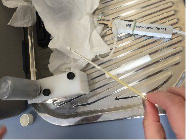 Animal Semen Collection and Analysis | Animal Reproduction Australia