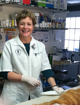 Doctors & Staff | Spokane, WA | The Cat’s Meow Feline Veterinary Clinic