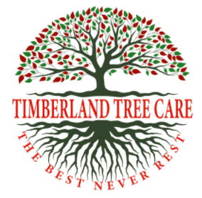 Tree Care & Removal | Timberland Tree Care Official Website