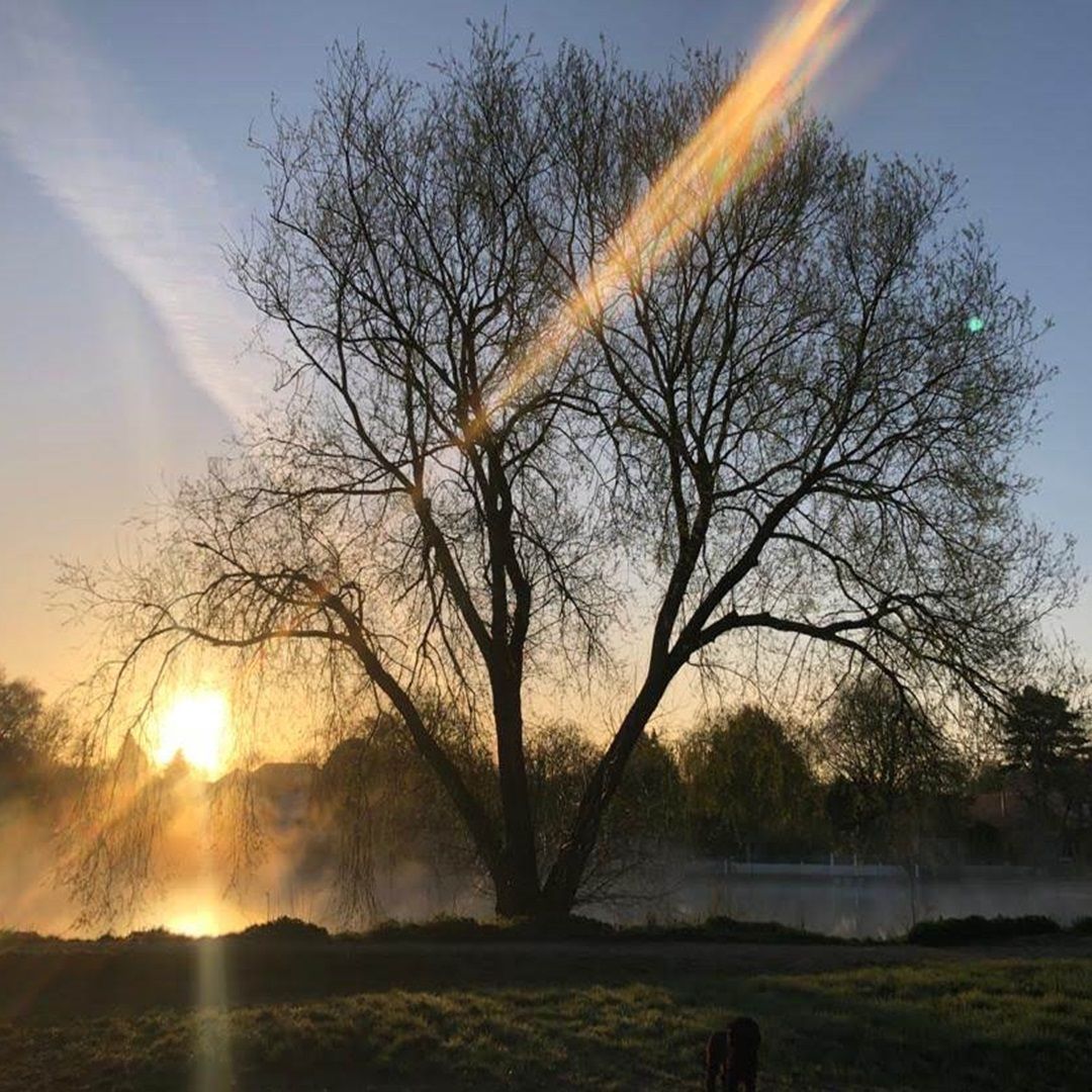 SAVOURING AND WELLBEING