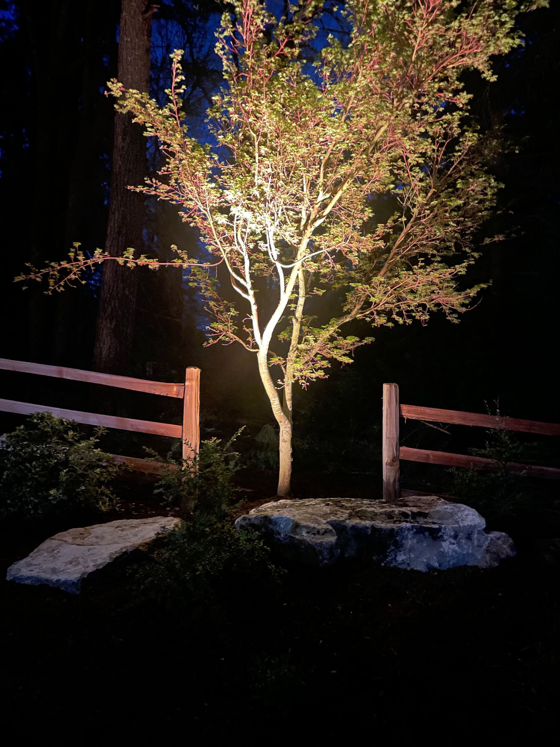 Landscape Design & Build | Fire Sparrow Landscaping | Kirkland, Washington