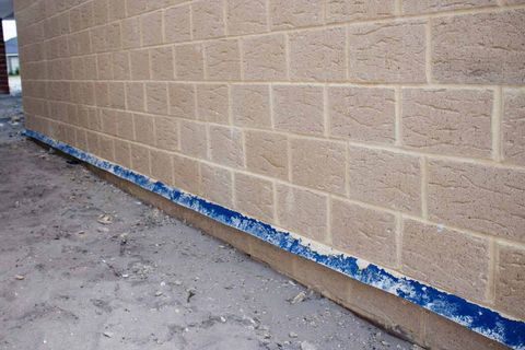 Termite Treatment in Perth | Champion Pest Control Pty Ltd