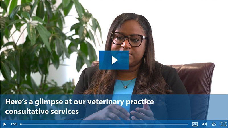 A glimpse at our veterinary practice consultative services